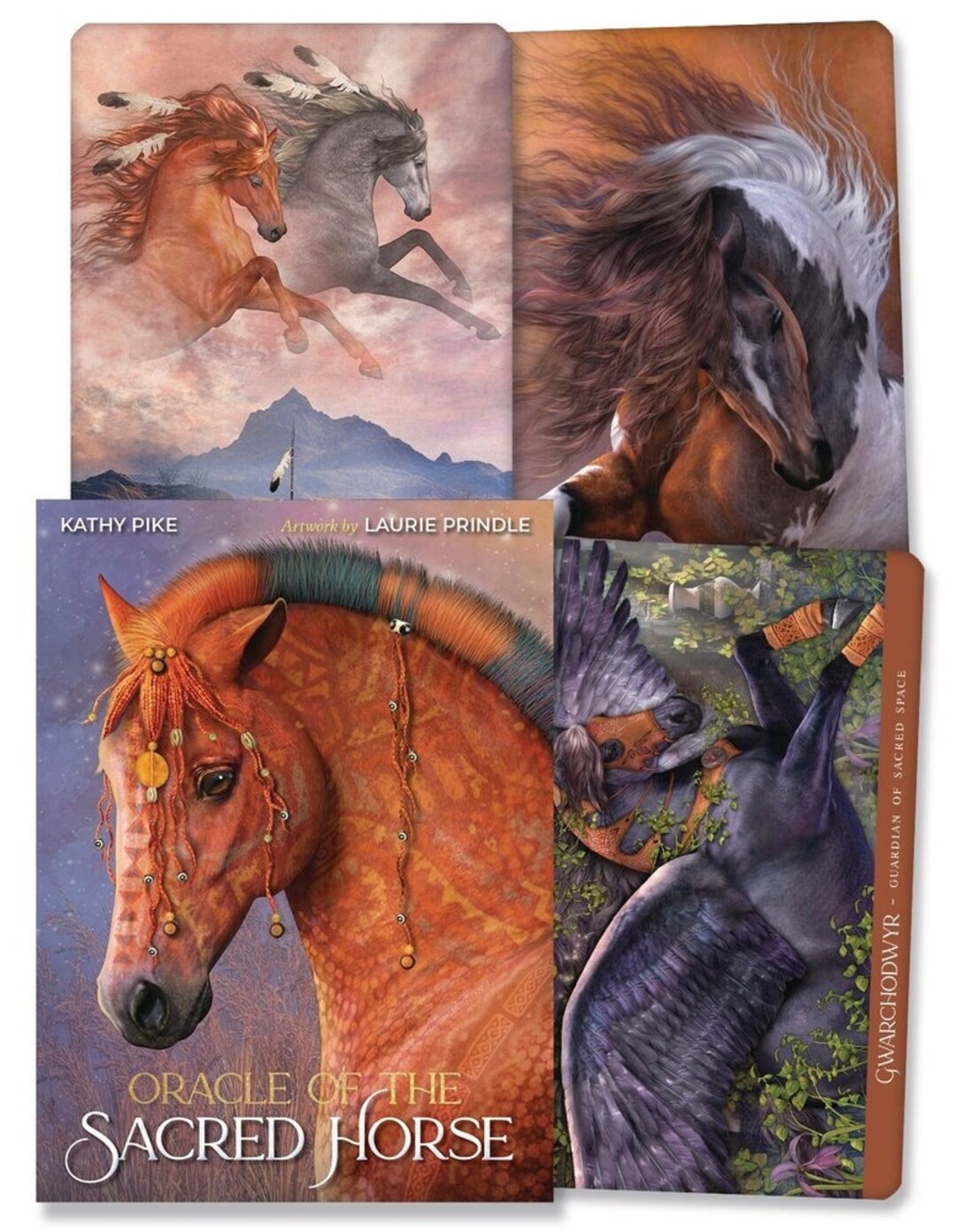Oracle of the Sacred Horse Kit Card Deck & Guidebook Set Tarot Cards ...