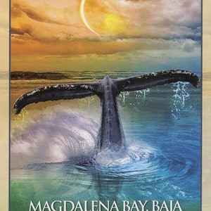 Earth Power Oracle Cards & Guidebook Set Tarot Card Deck Book Kit ...