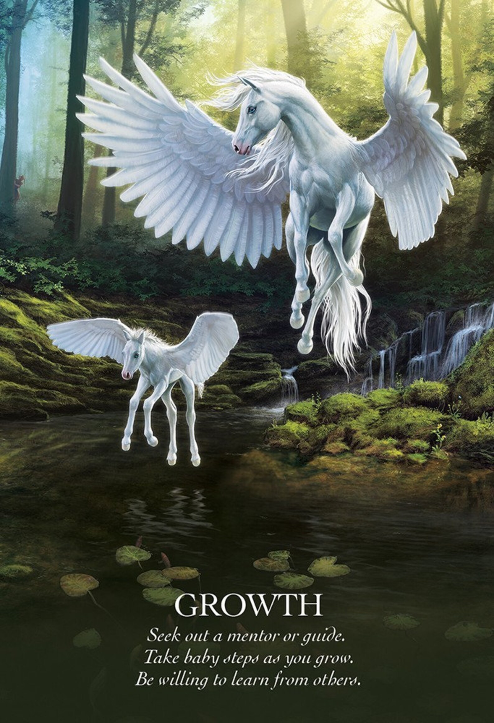 Oracle of the Unicorns Cards and Guidebook Set Tarot Card Deck Book Kit ...