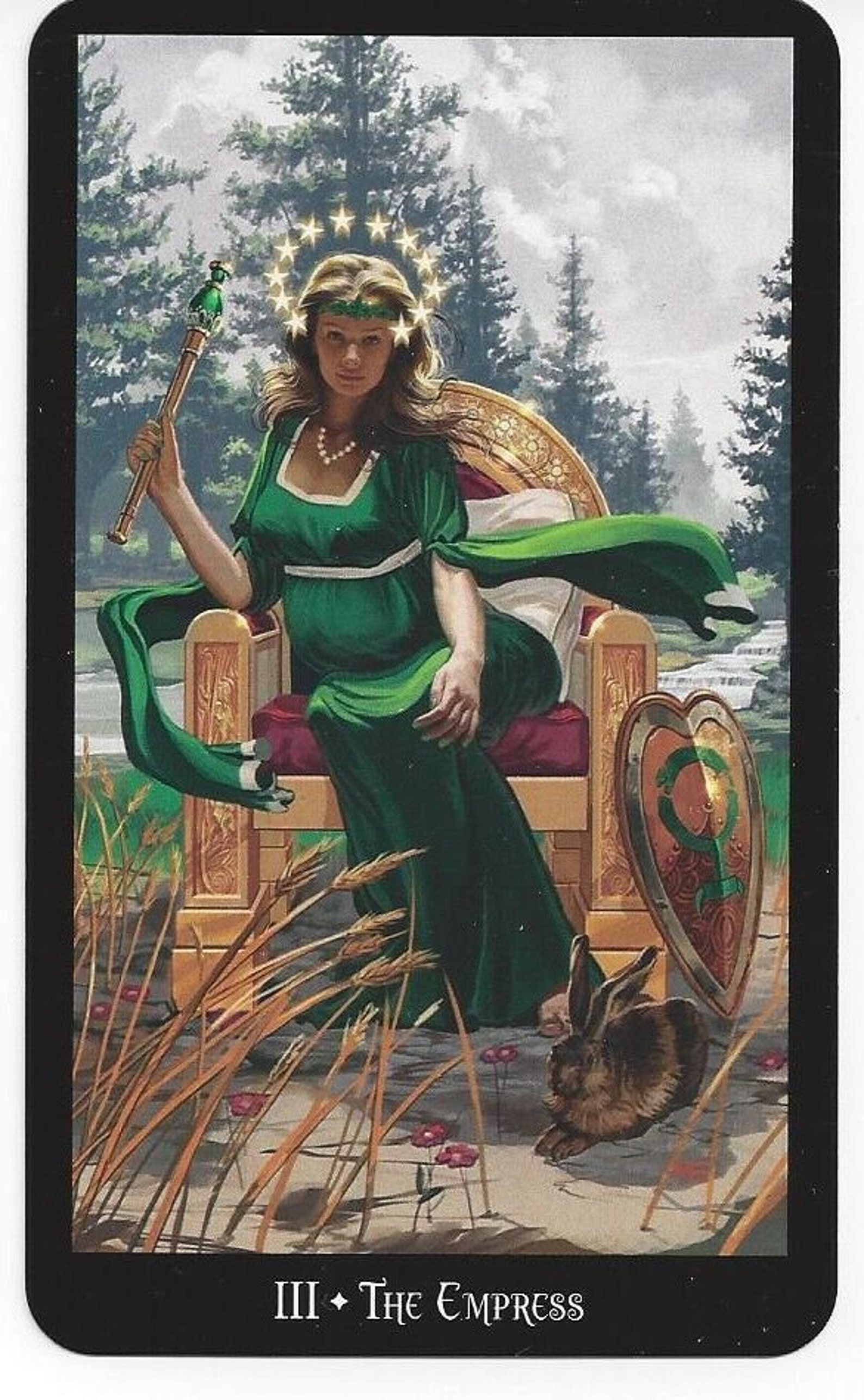 Witches Tarot Kit Card Deck & Guidebook Set Oracle Cards and Book Magic ...