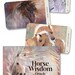 Horse Wisdom Oracle Kit Card Deck & Guidebook Set Cat Tarot Cards and ...