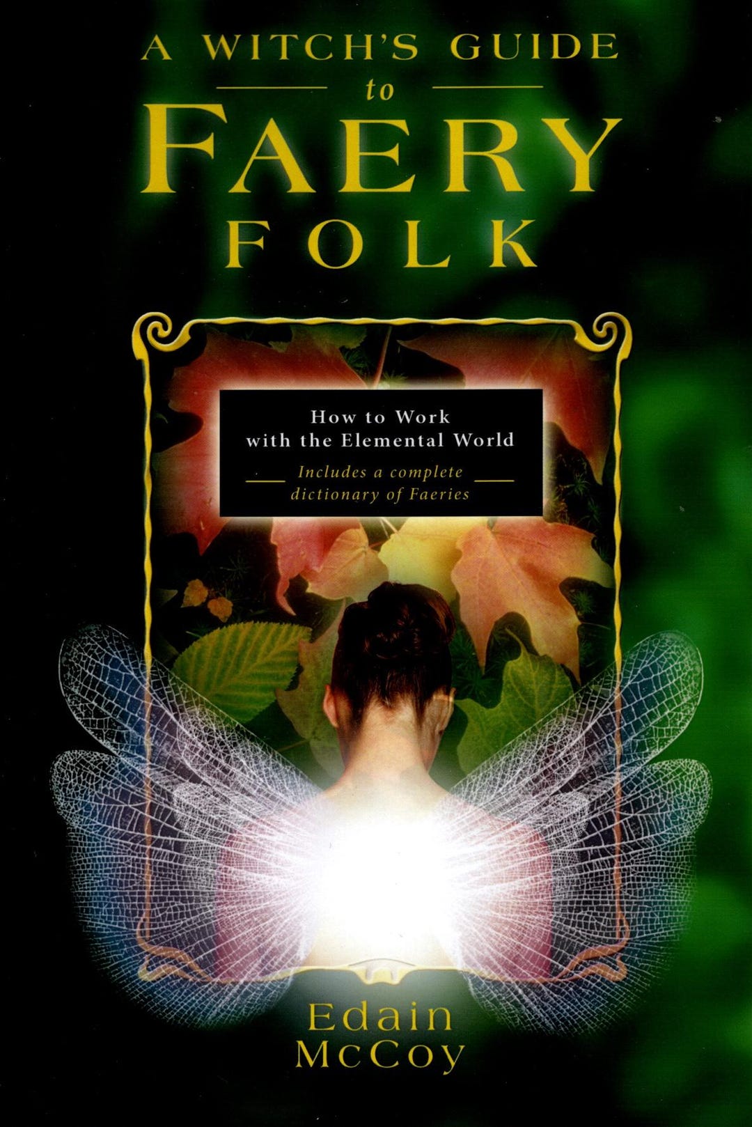 A Witch's Guide to Faery Folk Book How to Work With the Elemental World ...