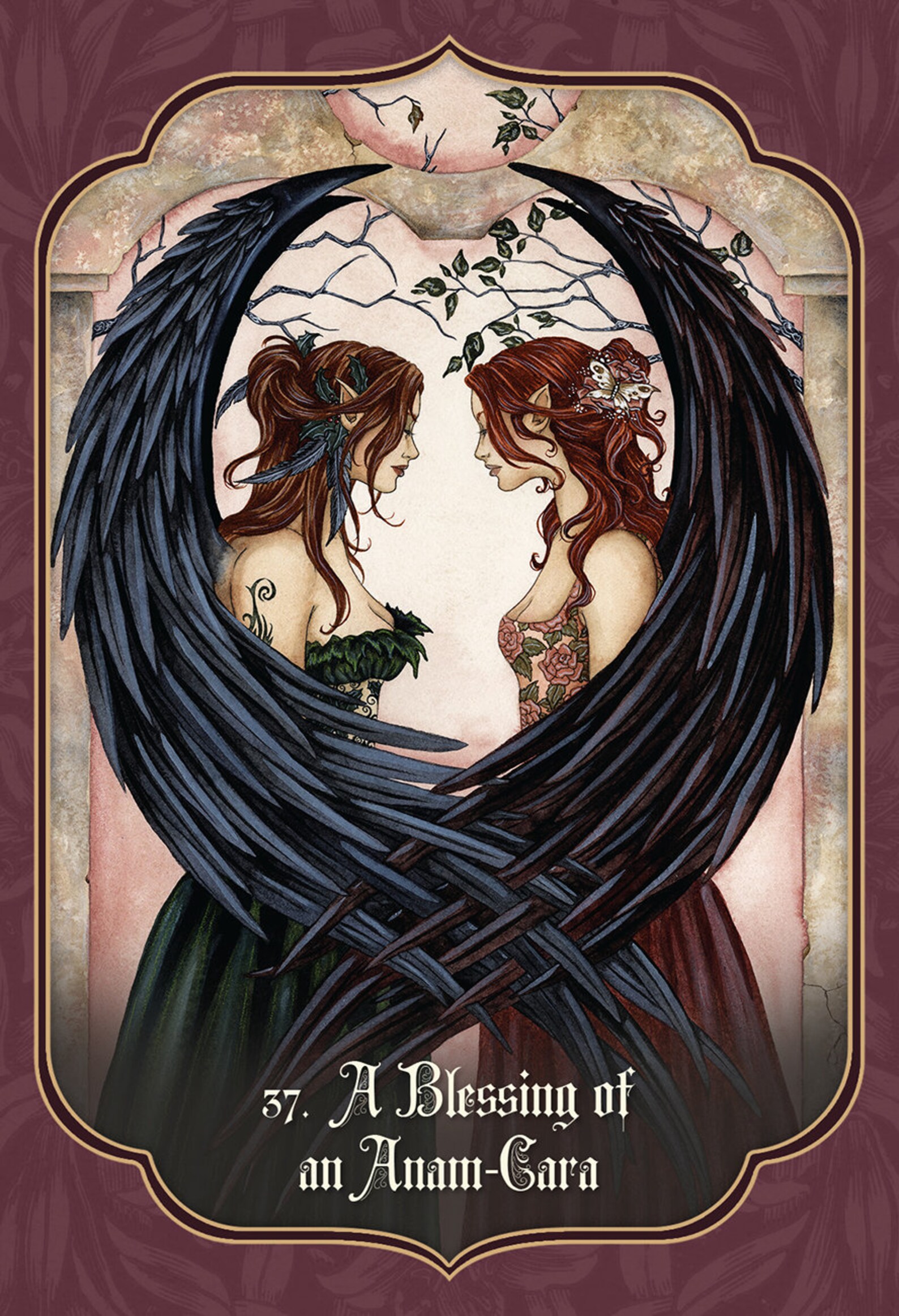 Fairy Blessing Cards and Guidebook Set Amy Brown Tarot Card Deck & Book ...