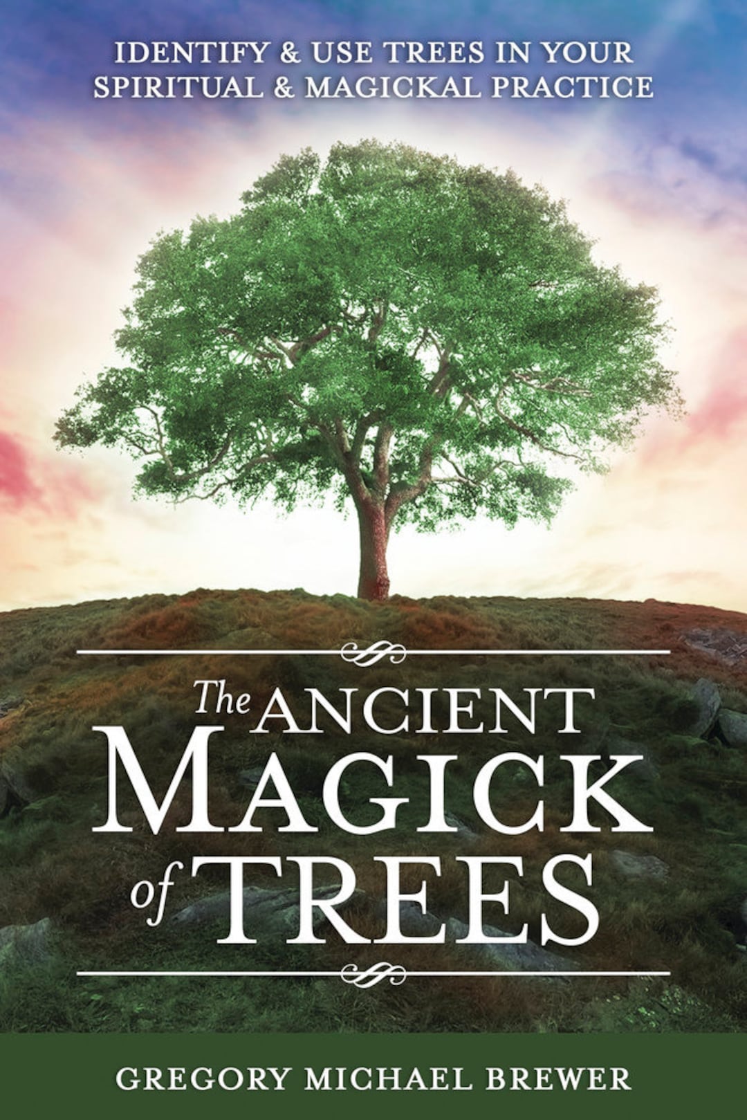 The Ancient Magick of Trees Book Tree Field Guide for Magic & Medicinal ...