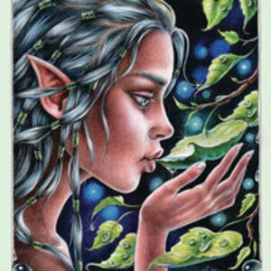 Faery Temple Oracle Kit Card Deck & Guidebook Set Fairy Tarot Cards and ...