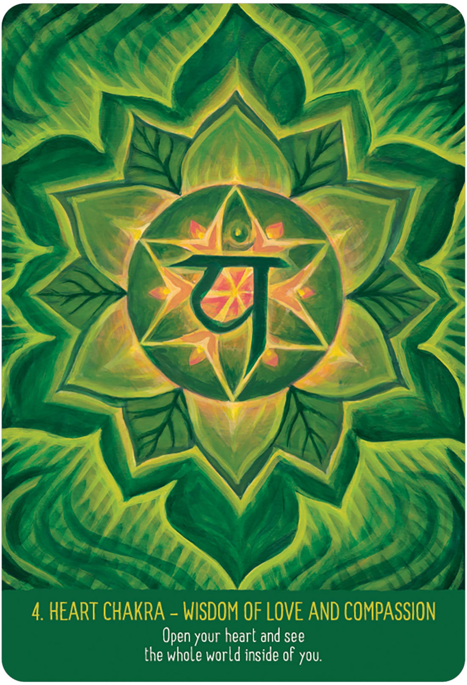 Infinite Wisdom of the Chakras Cards Kit Card Deck & Guidebook Set Book ...