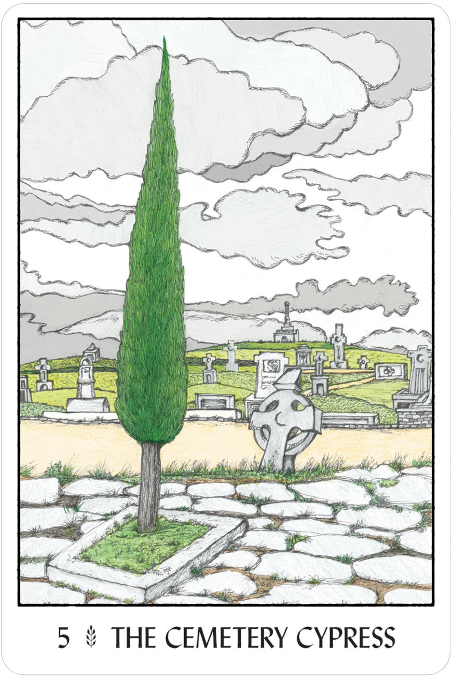 Oracle of the Trees Cards & Guidebook Set Tarot Card Deck Book Kit ...