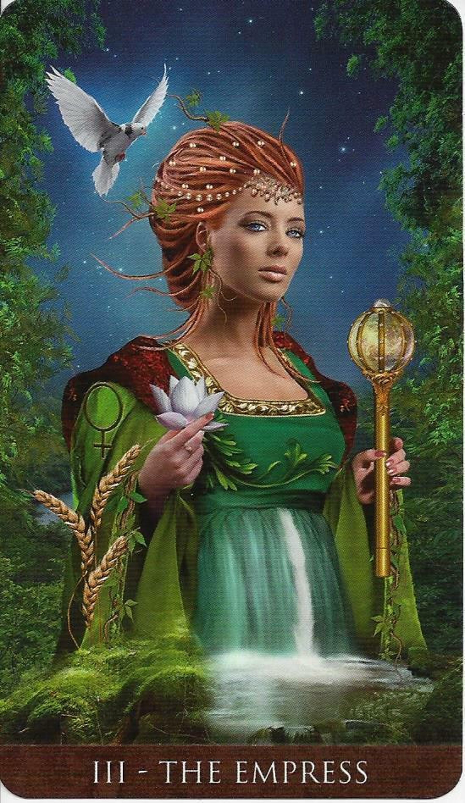 Arcanum Tarot Cards & Guidebook Set Oracle Card Deck Book Kit Fantasy ...