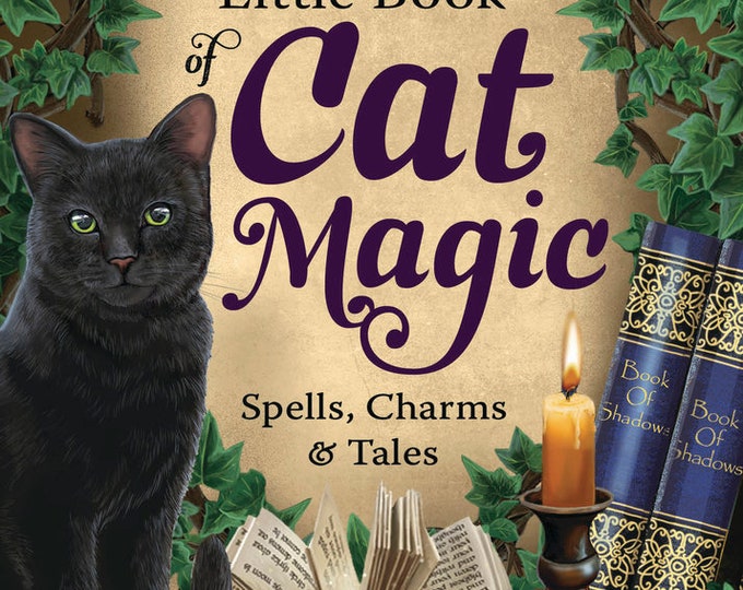 The Little Book of Cat Magic Book by Deborah Blake Spells Charms Tales ...