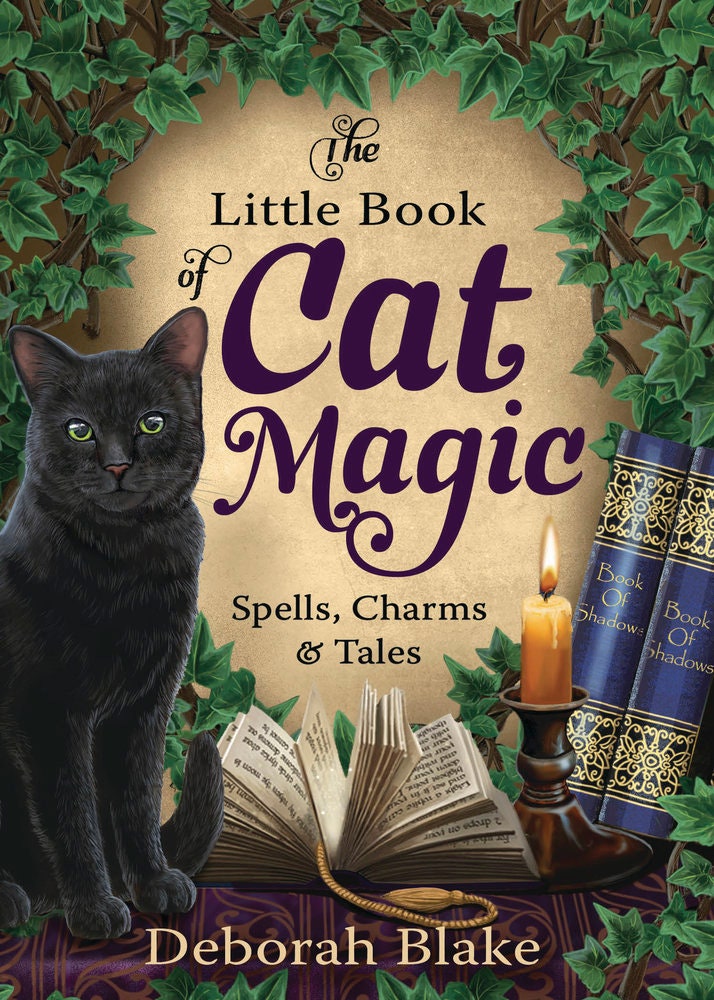 The Little Book of Cat Magic Book by Deborah Blake Spells | Etsy