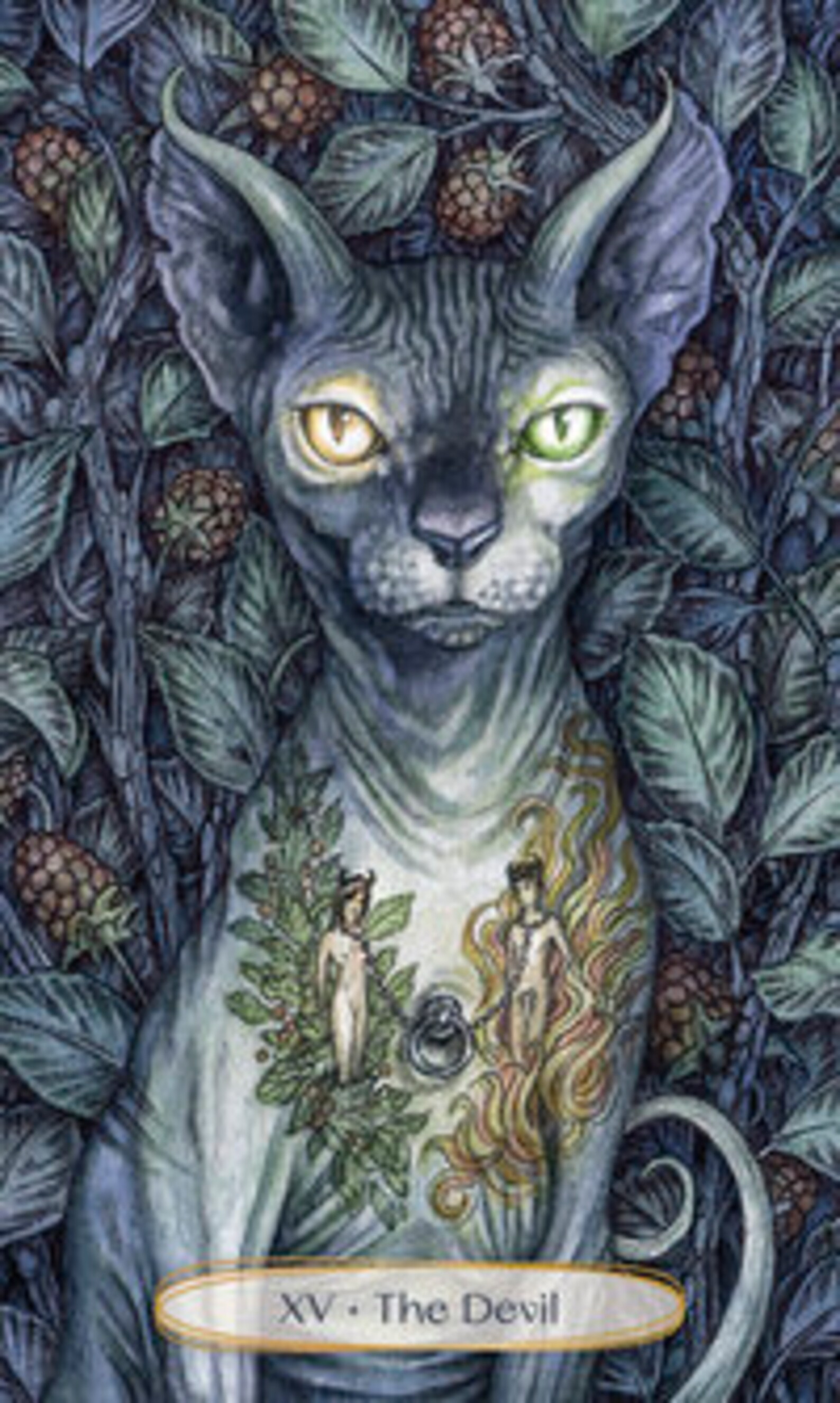 Soul Cats Tarot Kit Card Deck & Guidebook Set Cat Oracle Cards and Book ...