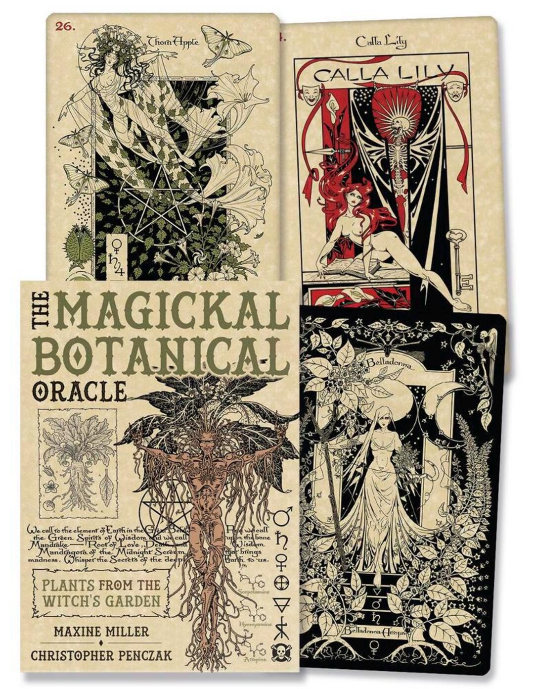 The Magickal Botanical Oracle Kit Card Deck & Guidebook Set Tarot Cards ...