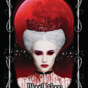 Witches' Moon Magick Oracle Deck Cards Set Fantasy Art Tarot Card ...