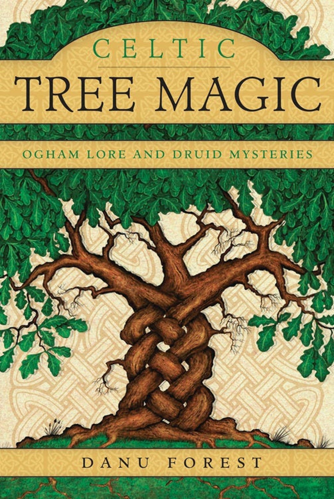 Celtic Tree Magic Book Ogham Lore & Druid Mysteries Pagan Magick Witch ...