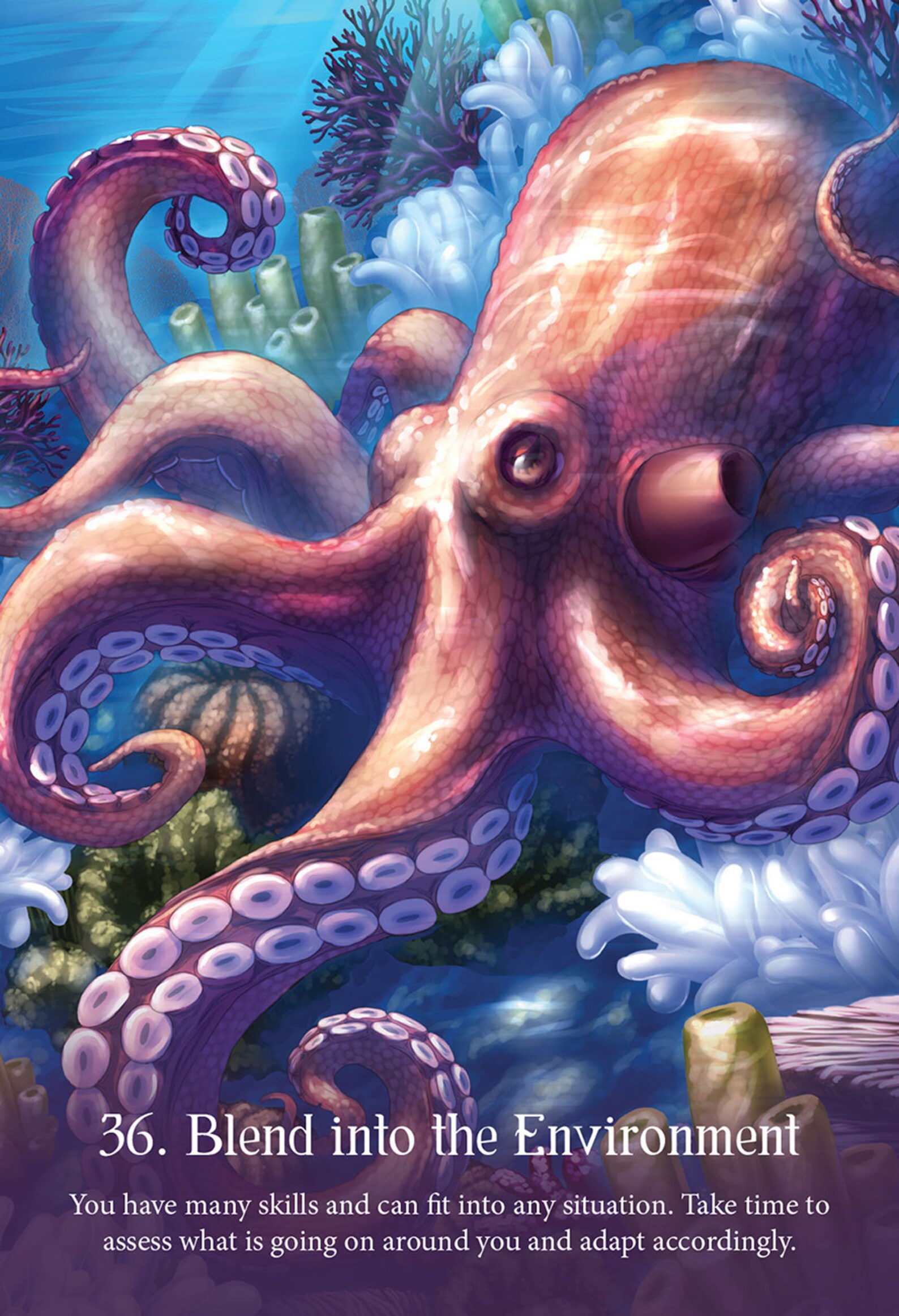 Whispers of the Ocean Oracle Cards & Guidebook Set Tarot Card Deck Book ...