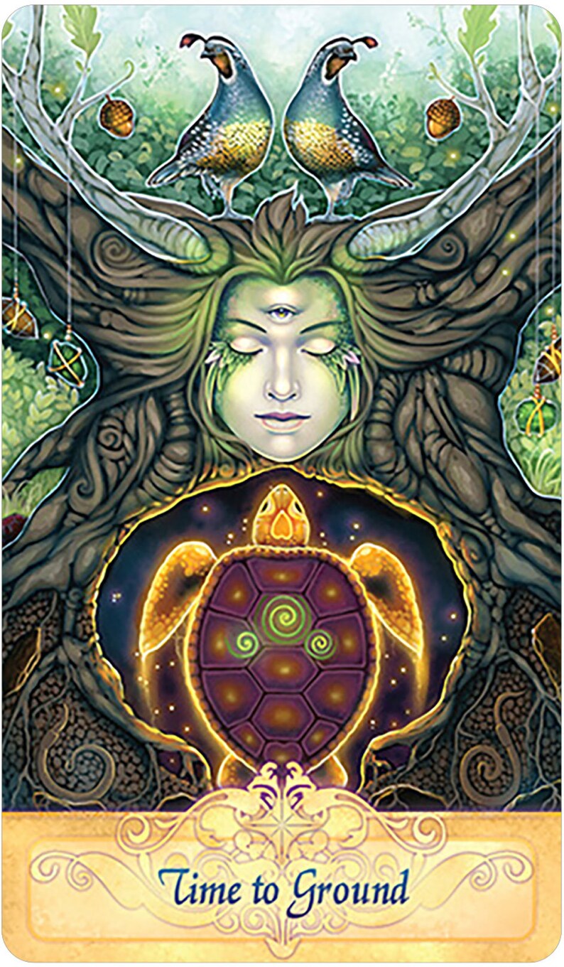 Messenger Oracle Cards & Guidebook Set Ravynne Phelan New Edition Tarot ...