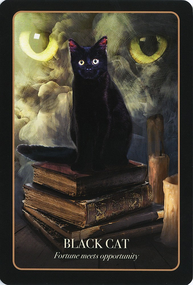 Halloween Oracle Cards & Guidebook Set Tarot Card Deck Book Kit Fantasy ...