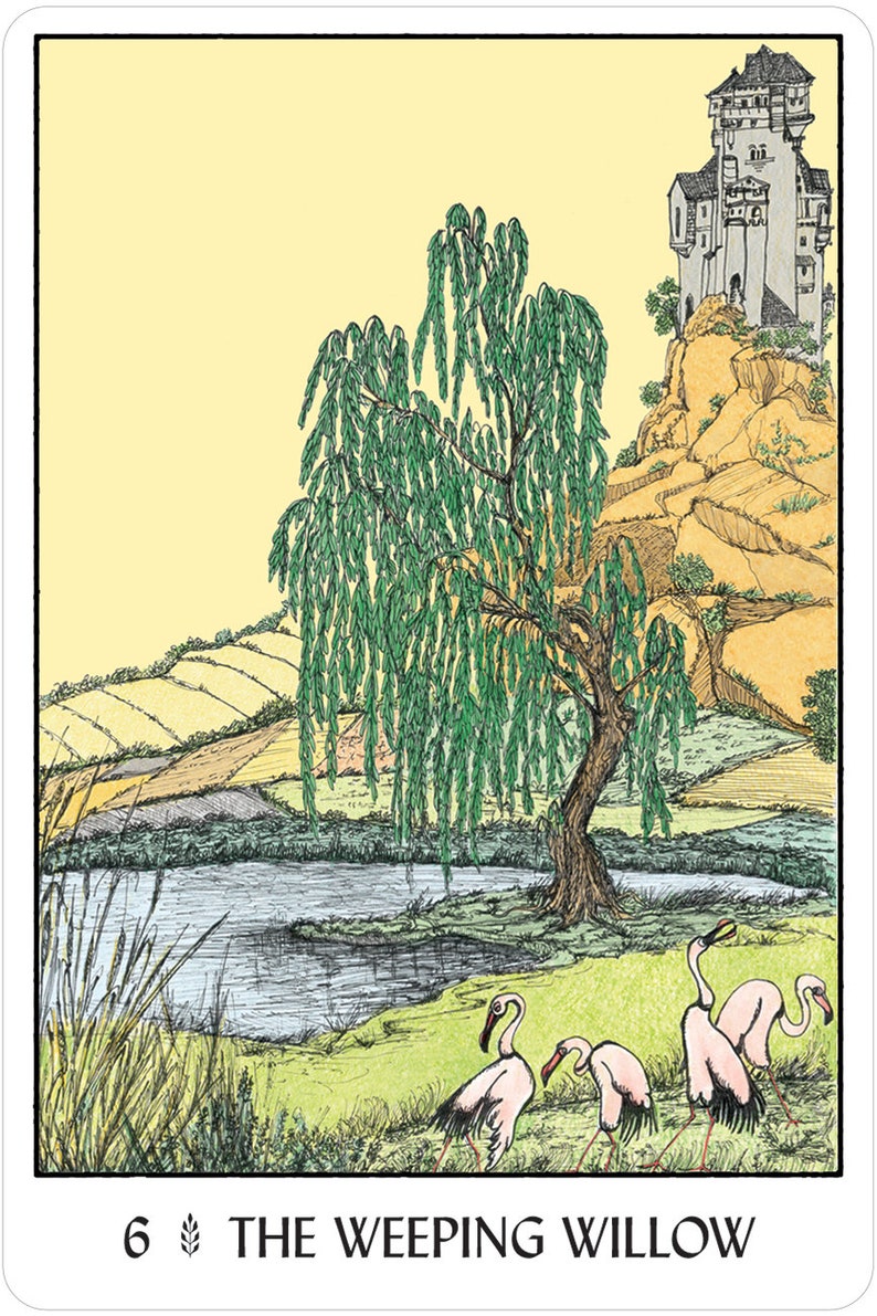 Oracle of the Trees Cards & Guidebook Set Tarot Card Deck Book Kit ...