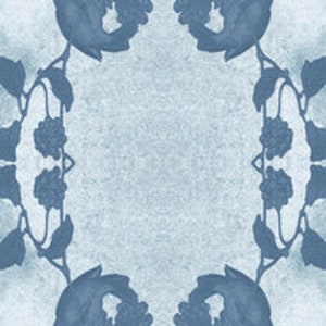 Winterseer Animal Oracle Kit Card Deck & Guidebook Set Winter Tarot ...