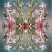 Ceccoli Oracle Deck Cards Set Card Booklet Nicoletta Ceccoli Tarot ...