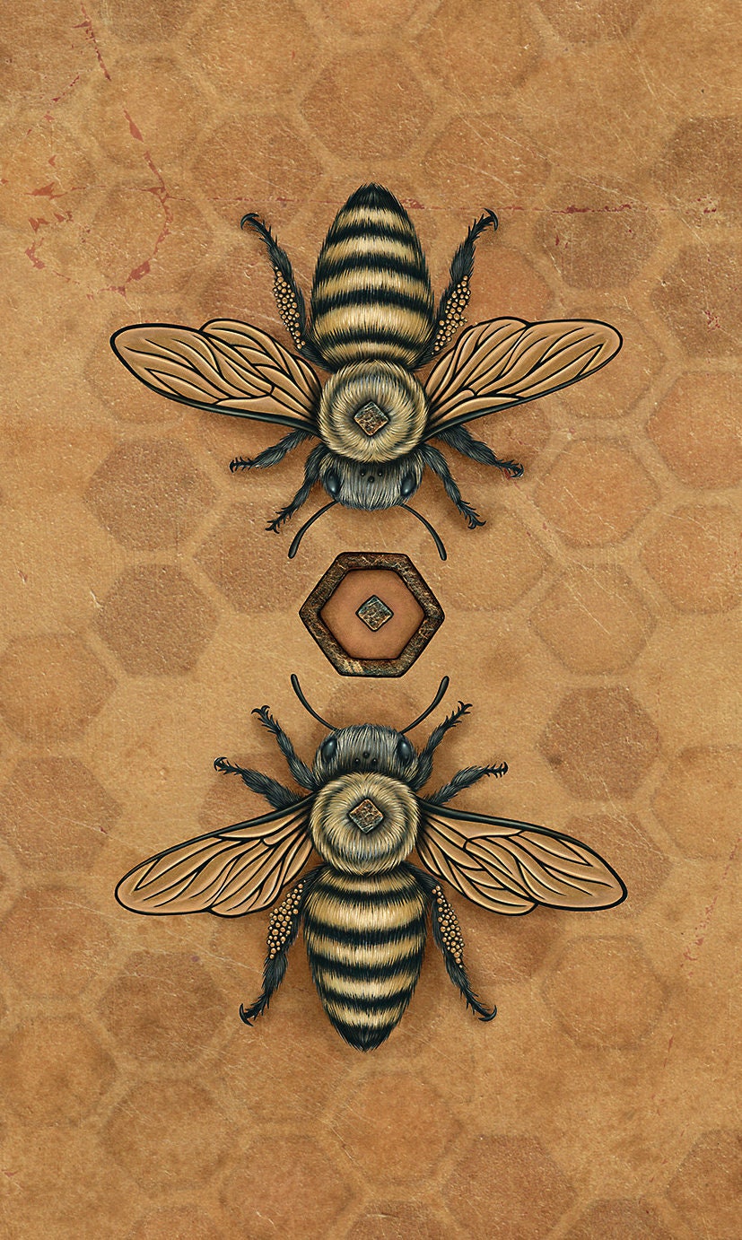 Bee Tarot Kit Card Deck & Guidebook Set Faery Oracle Cards and Book ...