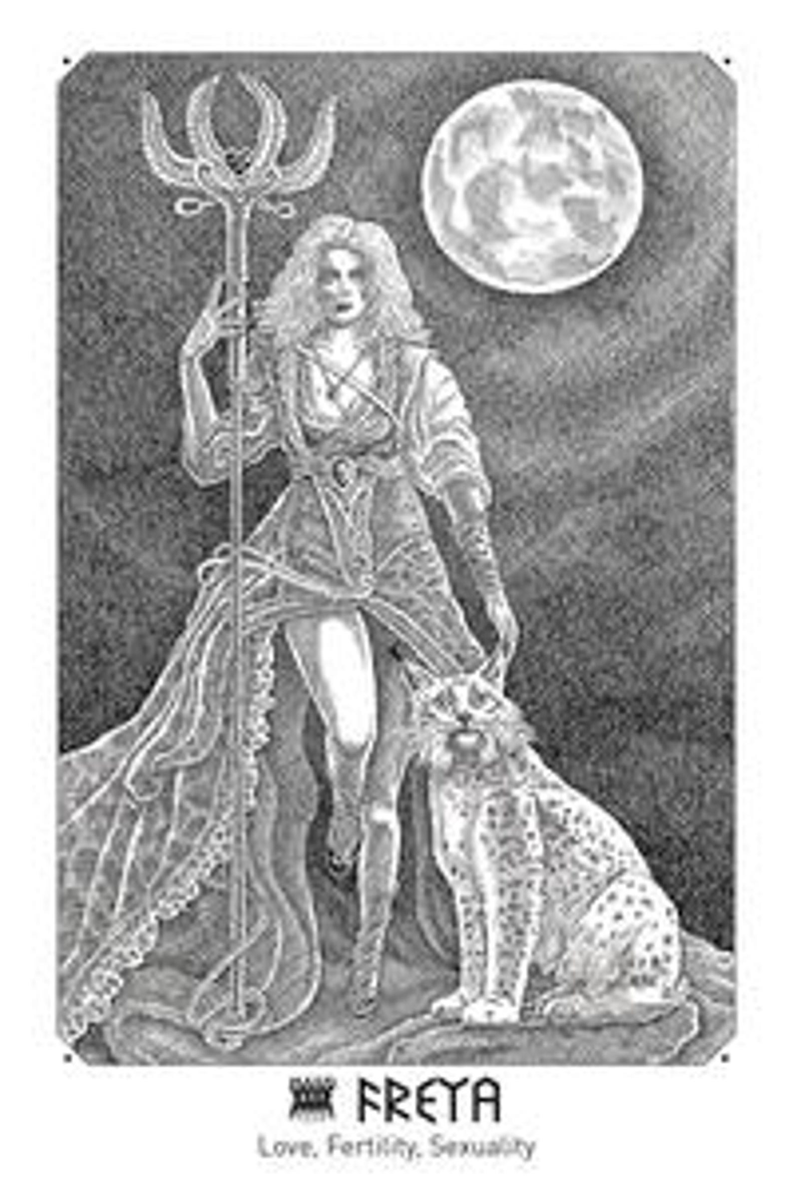 Yggdrasil Norse Divination Cards and Guidebook Set Card Deck Book Kit ...