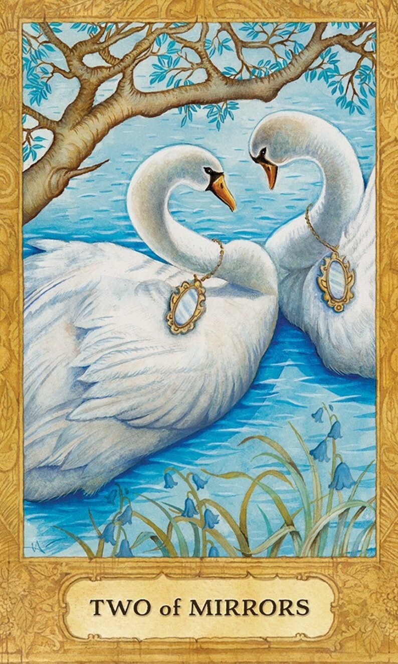 Chrysalis Tarot Kit Card Deck & Guidebook Set Crysalis Oracle - Etsy