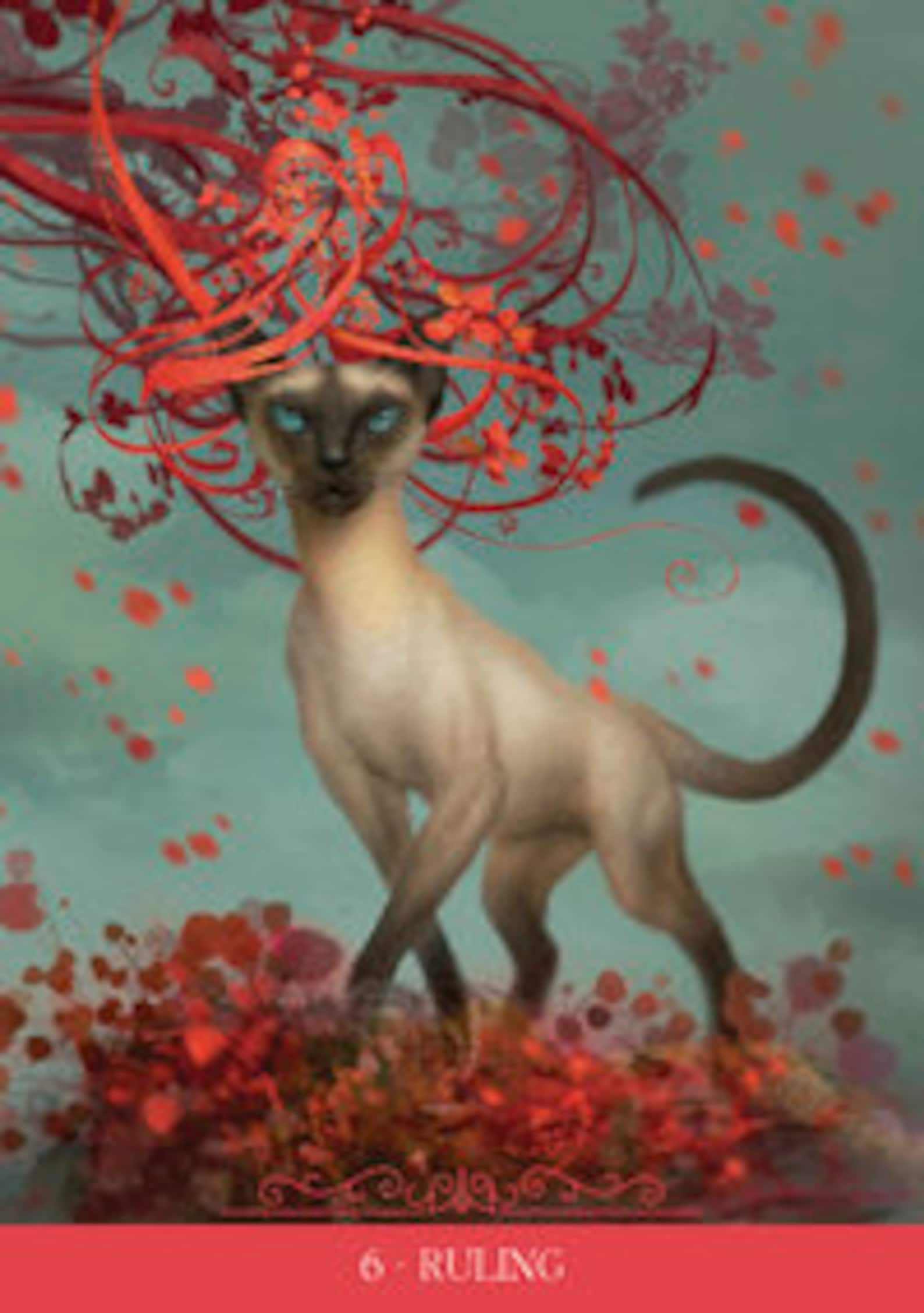 Fantasy Cats Oracle Kit Deck Cards Set Paolo Barbieri Card Booklet ...