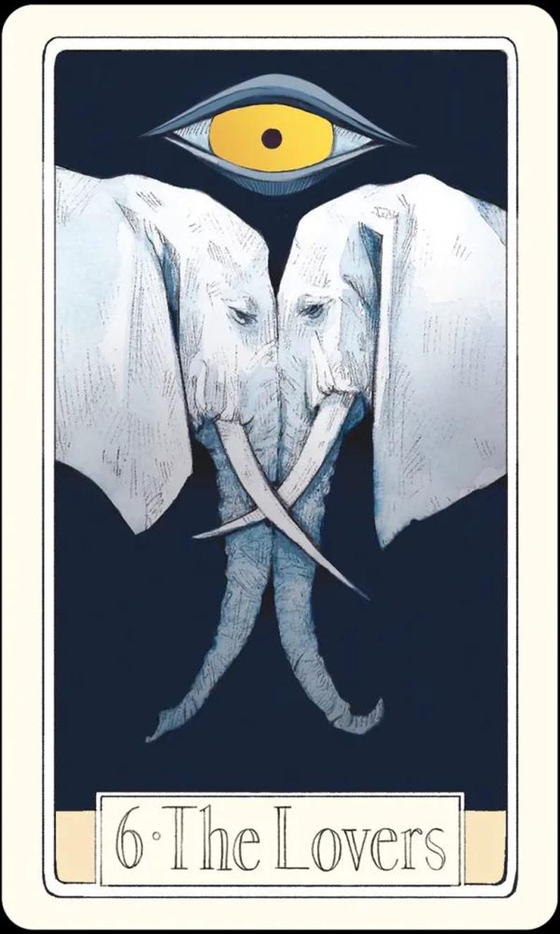 Curious Travels Tarot Cards and Guidebook Set Oracle Card Deck & Book ...
