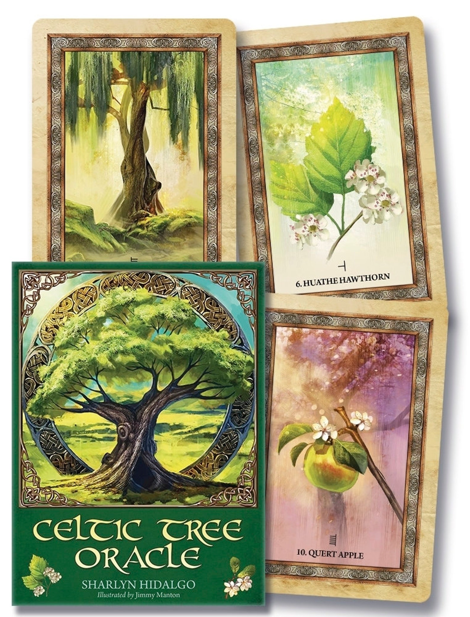 Celtic Tree Oracle Cards & Guidebook Set Tarot Card Deck Book - Etsy