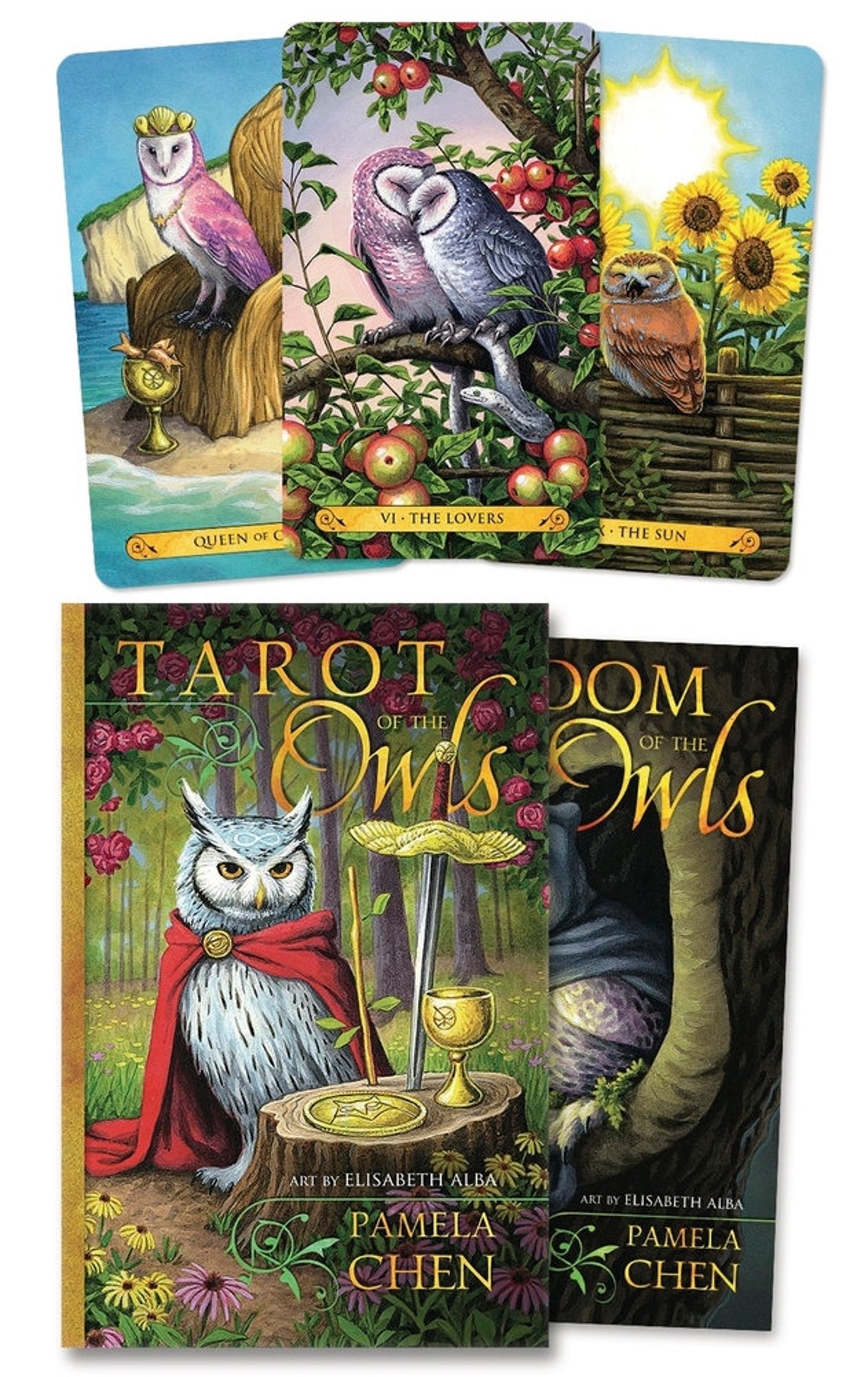 Tarot of the Owls Kit Card Deck & Guidebook Set Oracle Cards and Book ...