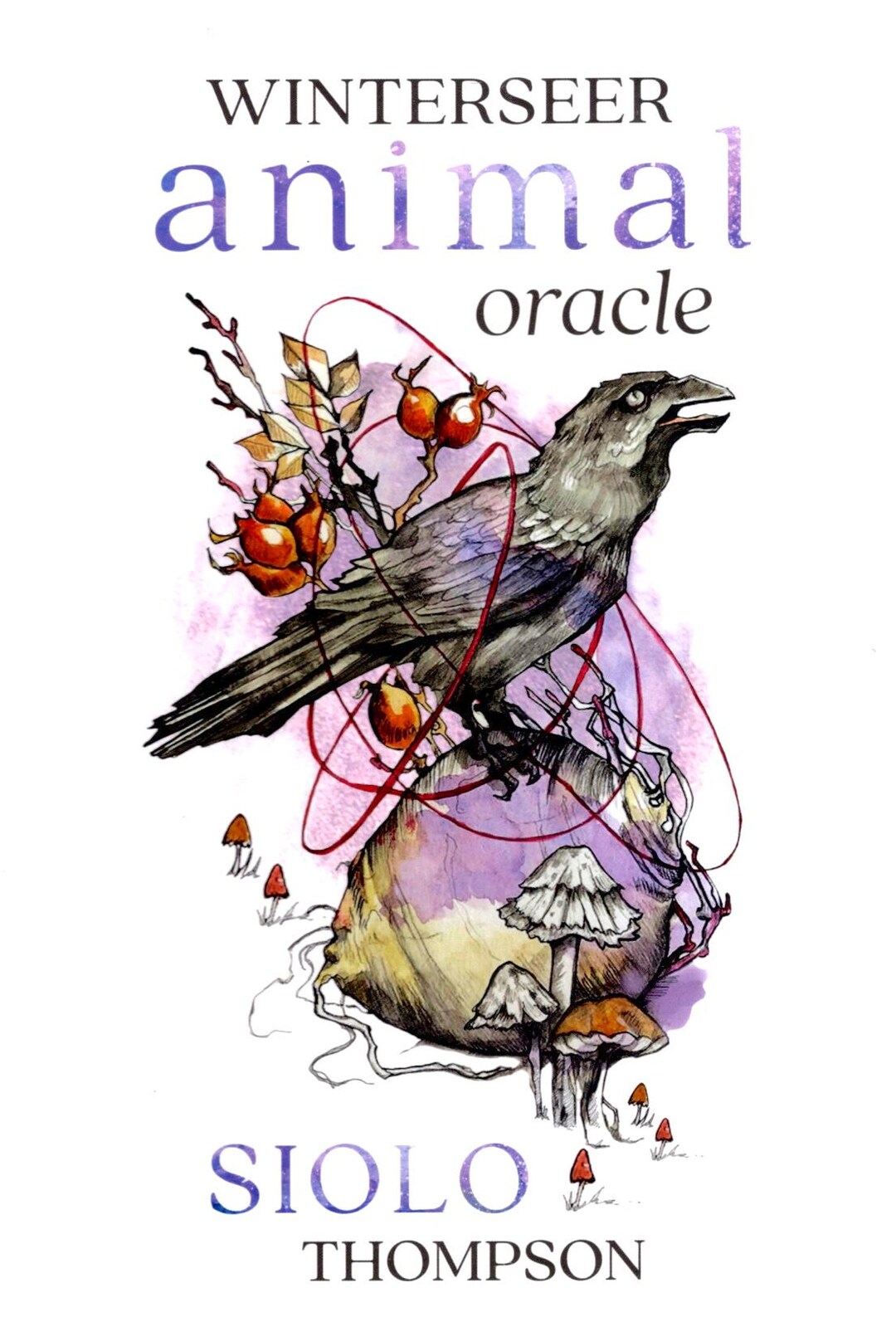 Winterseer Animal Oracle Kit Card Deck & Guidebook Set Winter Tarot ...