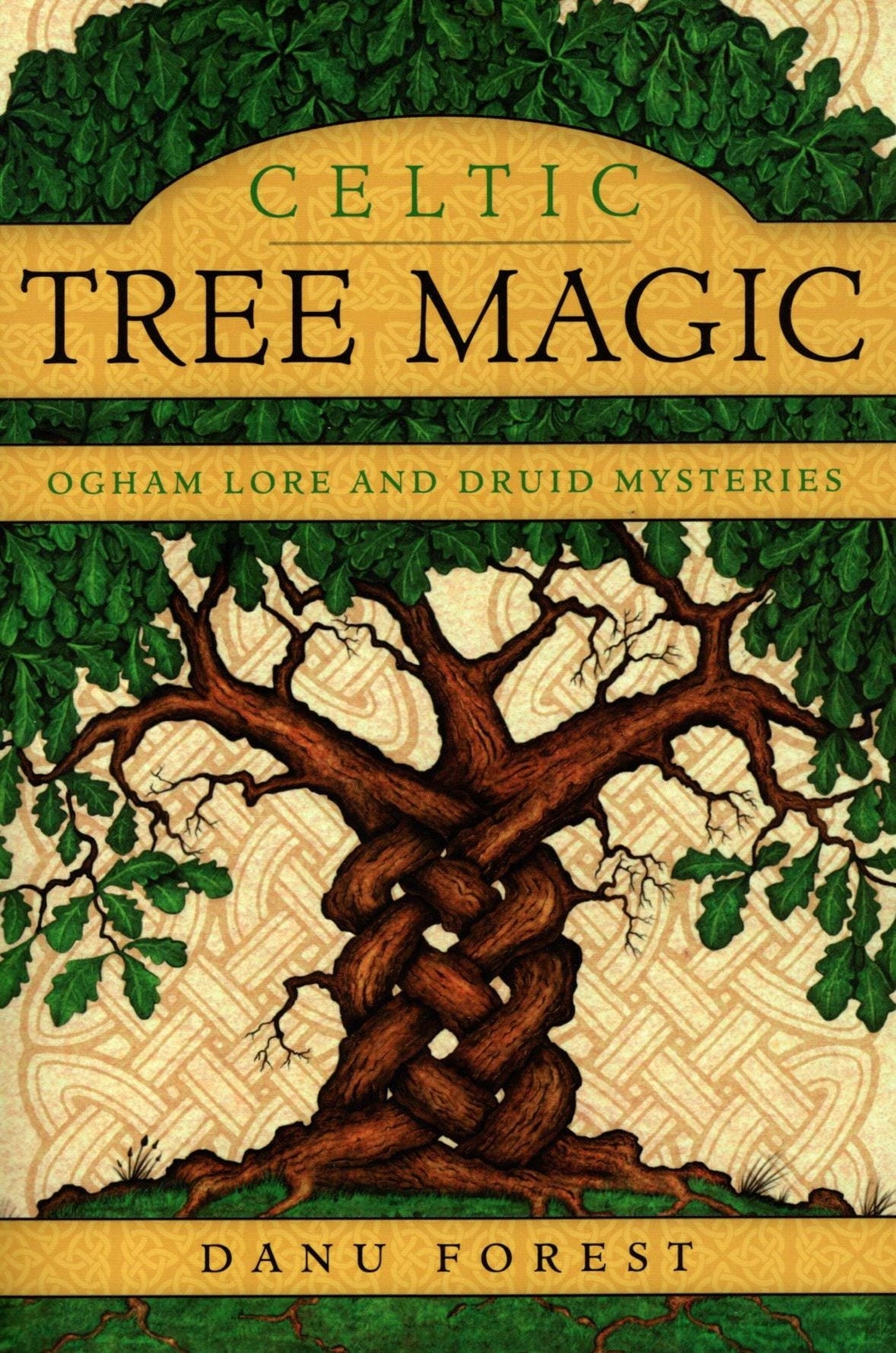 Celtic Tree Magic Book Ogham Lore & Druid Mysteries Pagan Magick Witch ...