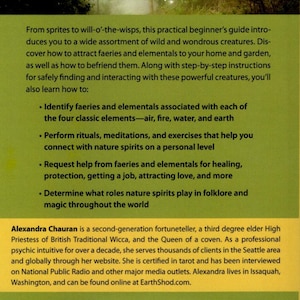 Faeries & Elementals Beginners Book Fairy Nature Spirits Faery ...