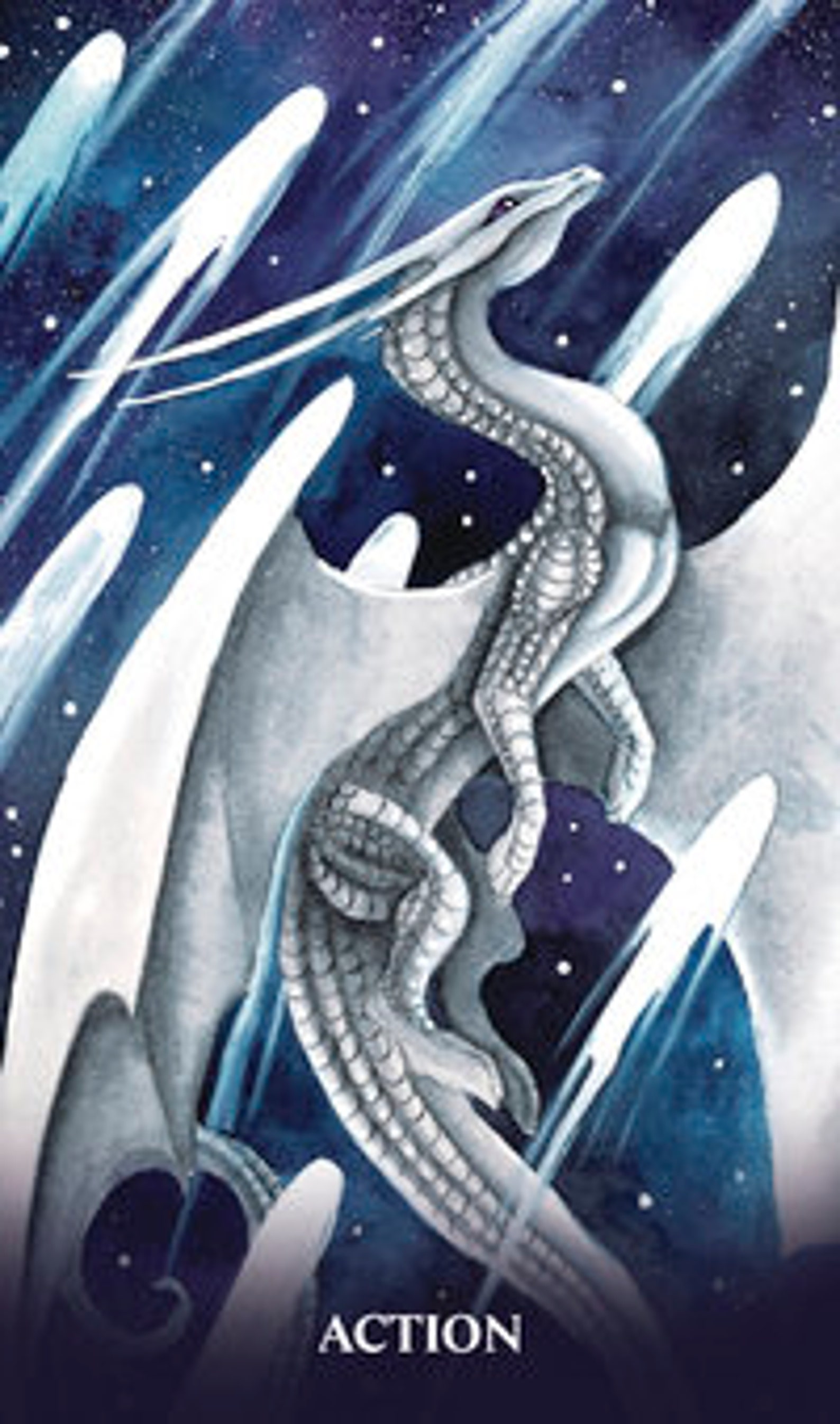 Universal Dragon Oracle Cards and Book Set Tarot Card Deck Fantasy Art ...