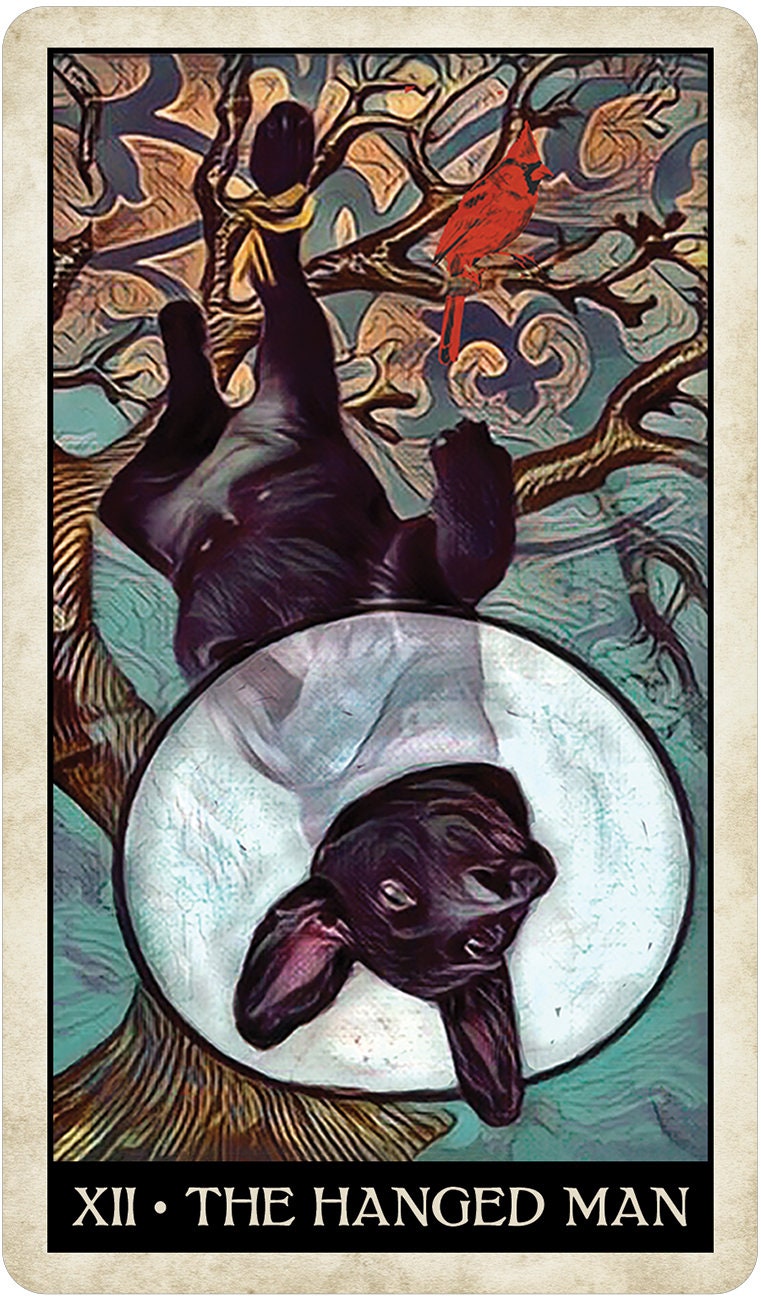 Wise Dog Tarot Cards & Guidebook Set Dogs Oracle Card Deck Book Kit ...