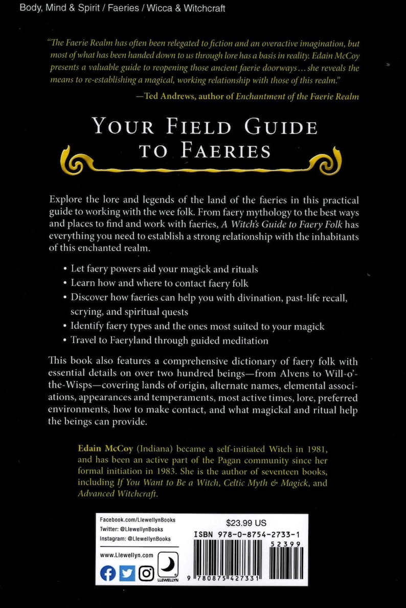 A Witch's Guide to Faery Folk Book How to Work With the Elemental World ...