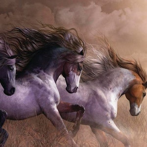 Horse Wisdom Oracle Kit Card Deck & Guidebook Set Cat Tarot Cards and ...