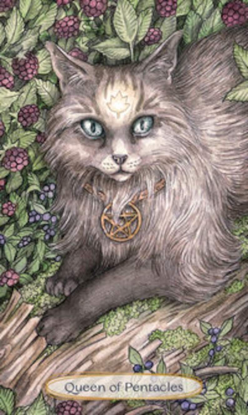 Soul Cats Tarot Kit Card Deck & Guidebook Set Cat Oracle Cards and Book ...
