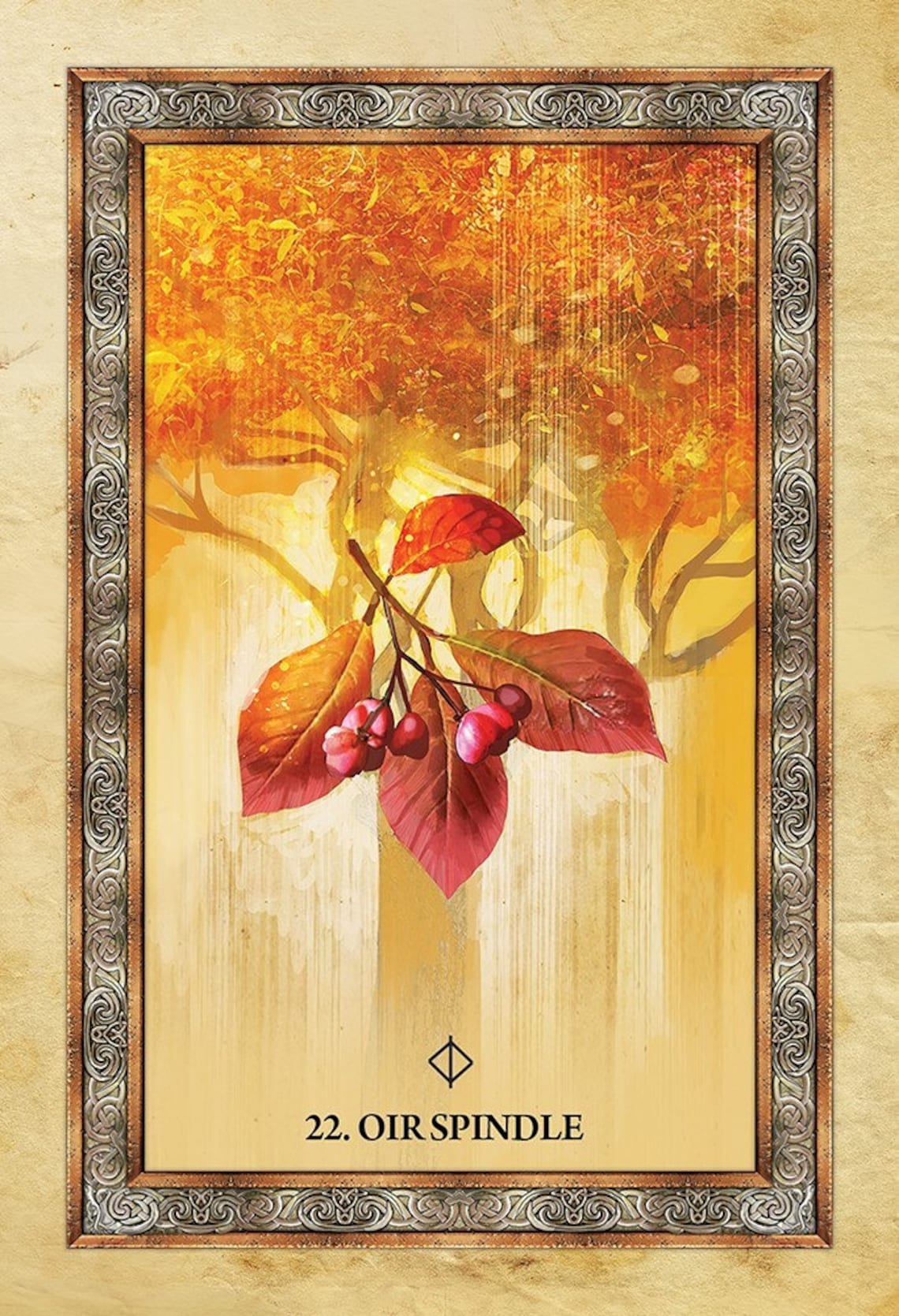 Celtic Tree Oracle Cards & Guidebook Set Tarot Card Deck Book | Etsy