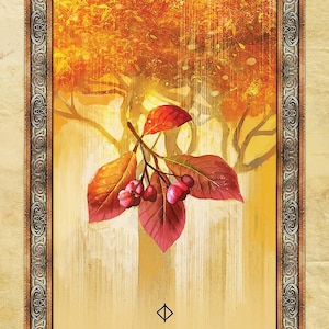 Celtic Tree Oracle Cards & Guidebook Set Tarot Card Deck Book Kit ...