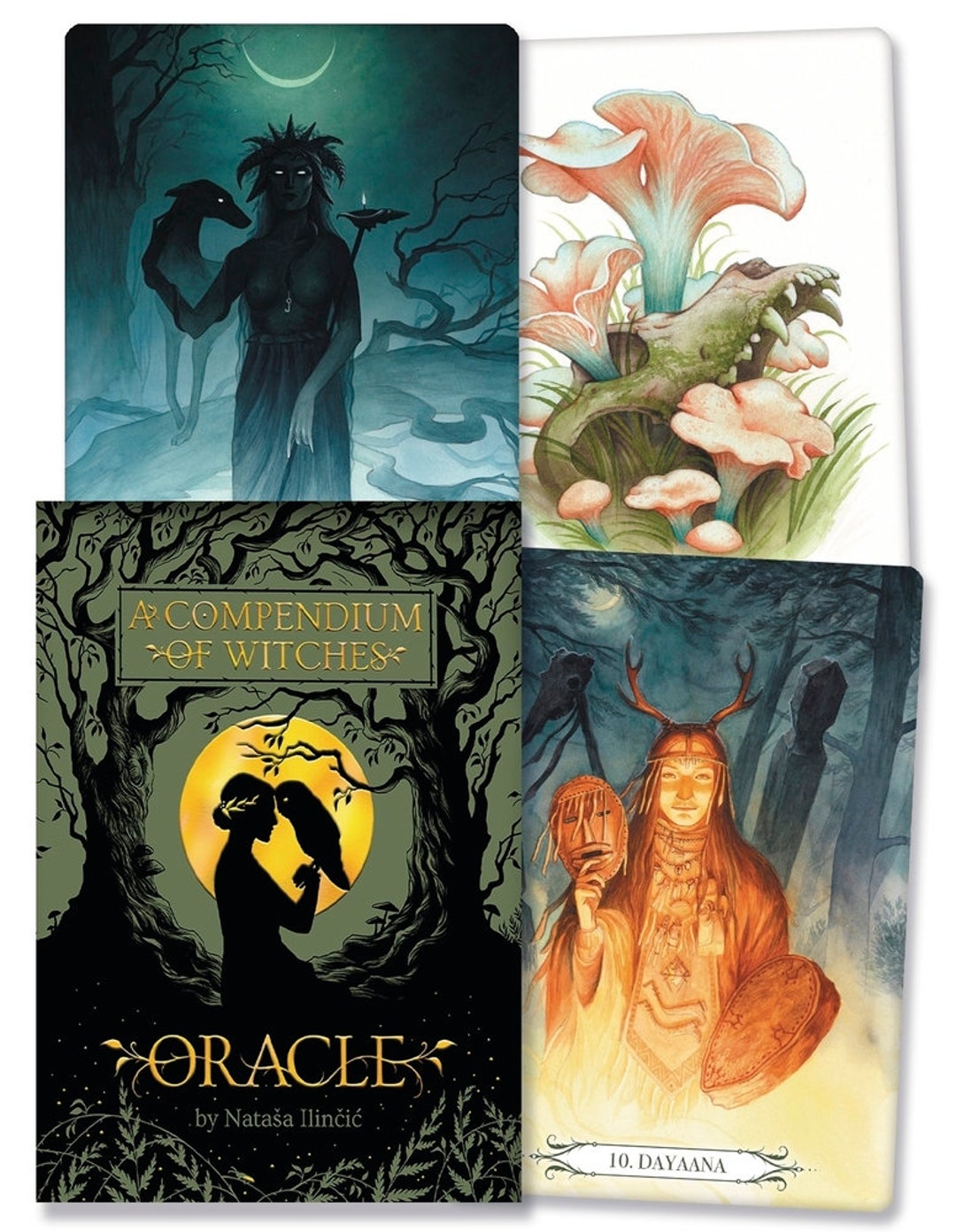 A Compendium of Witches Oracle Kit Card Deck & Guidebook Set Cards Book ...
