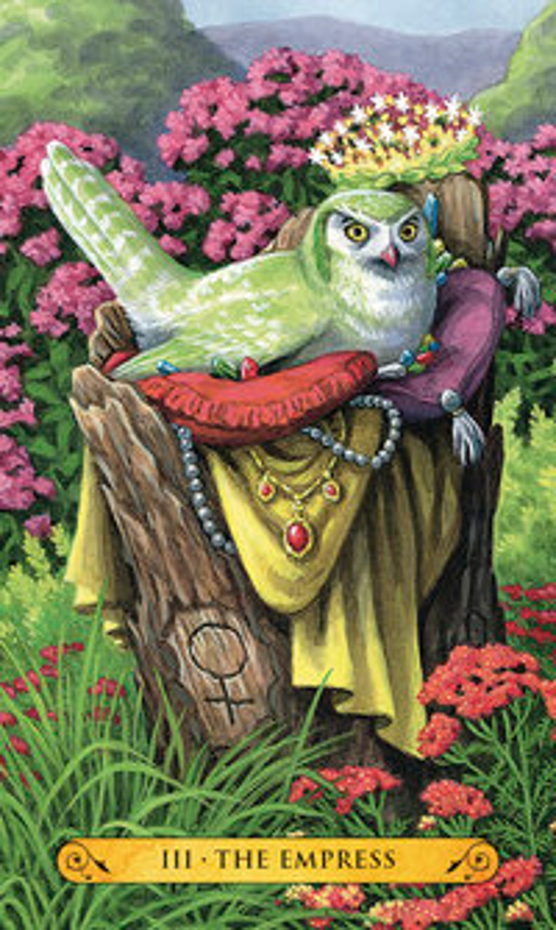 Tarot of the Owls Kit Card Deck & Guidebook Set Oracle Cards and Book ...