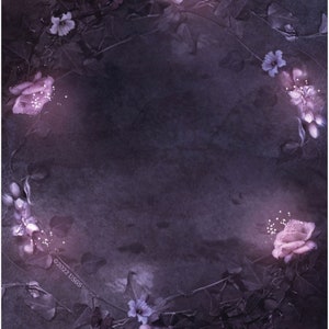 Dark Light Oracle Kit Deck Cards Set Card Booklet Magick Magic Magickal ...