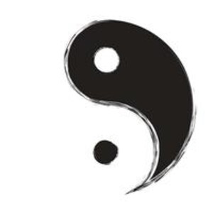 Chinese Oracle Kit Deck Cards Set Paolo Barbieri Card Booklet ...