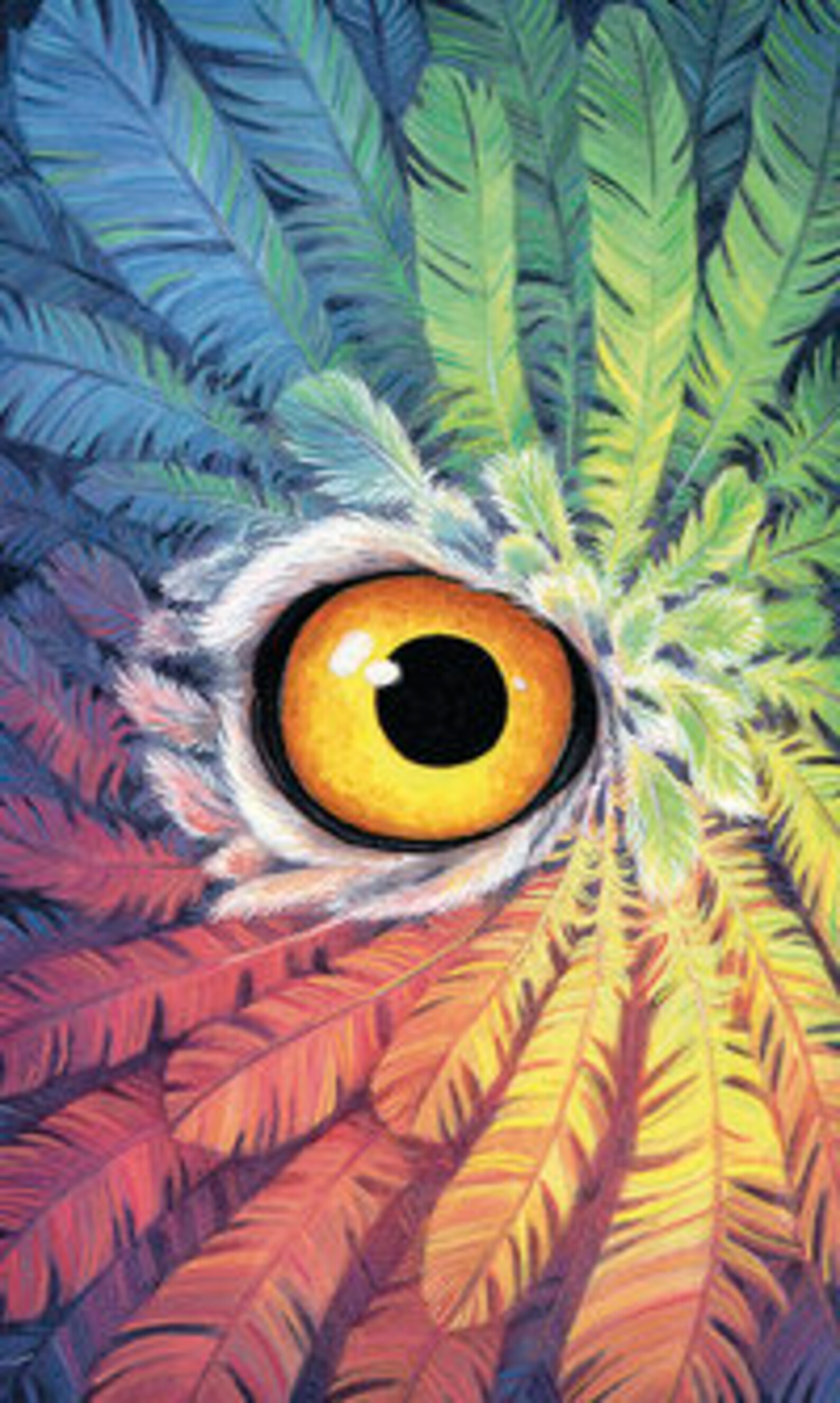 Tarot of the Owls Kit Card Deck & Guidebook Set Oracle Cards and Book ...