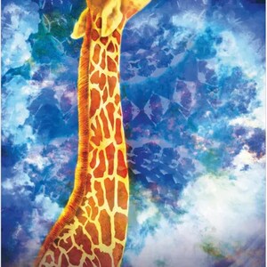 Wild Dreams Animal Oracle Cards & Guidebook Set Tarot Card Deck Book ...