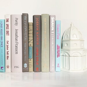 Shining Light Blue Bookshelf Decor, Books for Decorating in Blue and ...