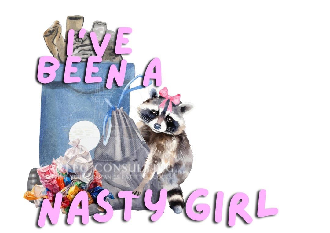 Ive Been a Nasty Girl, Raccoon PNG, Instant Download - Etsy