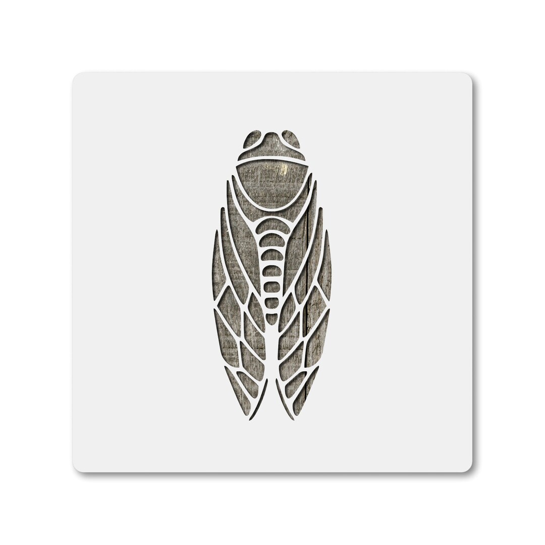 Cicada Insect Bug, Stencil Plastic Mylar Stencil for Painting, Walls ...